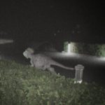 Unknown Tapes - Play Online Unknown Tapes Without Download